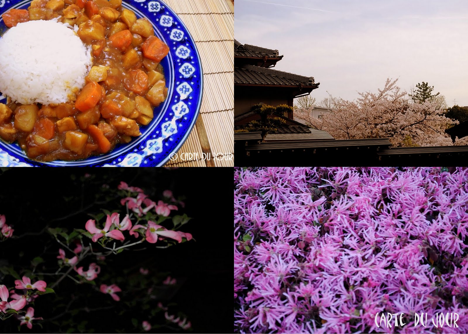 Carte du jour: Kare/Japanese Curry