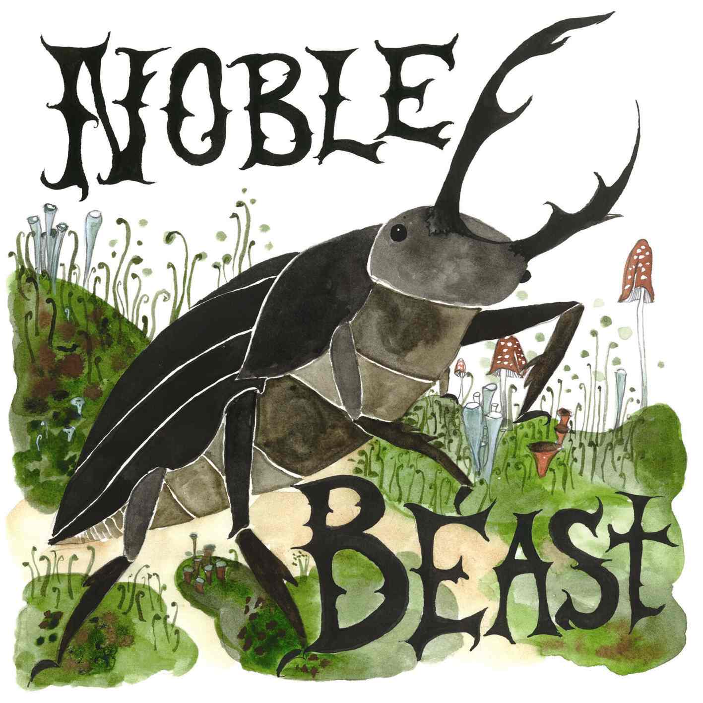 Really Important Reviews: Andrew Bird - Noble Beast