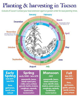 Arizona Victory Garden: Planting Guide for southern Arizona