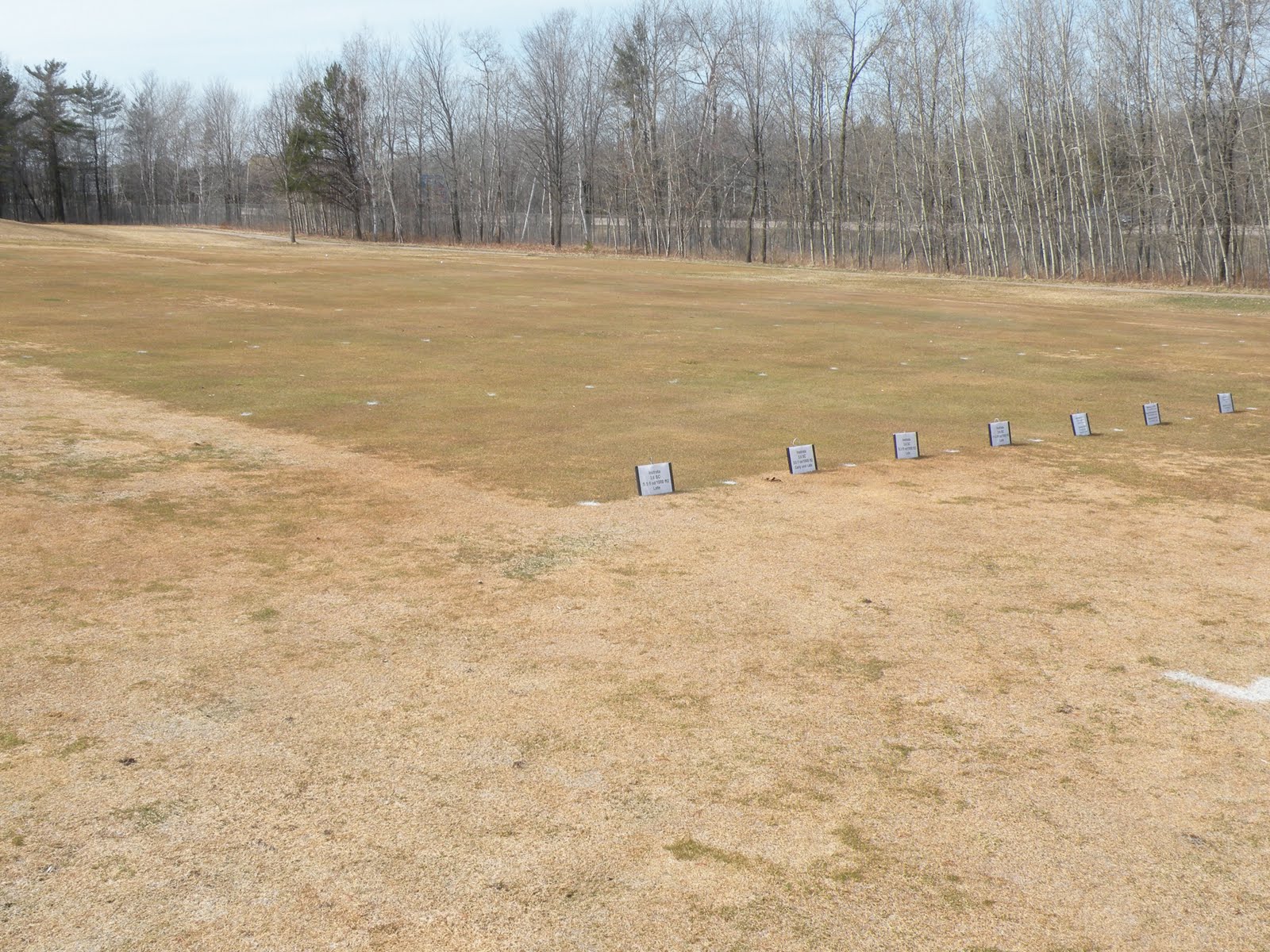 Turfgrass disease updates for golf courses: Snow Mold Rating Season Has ...