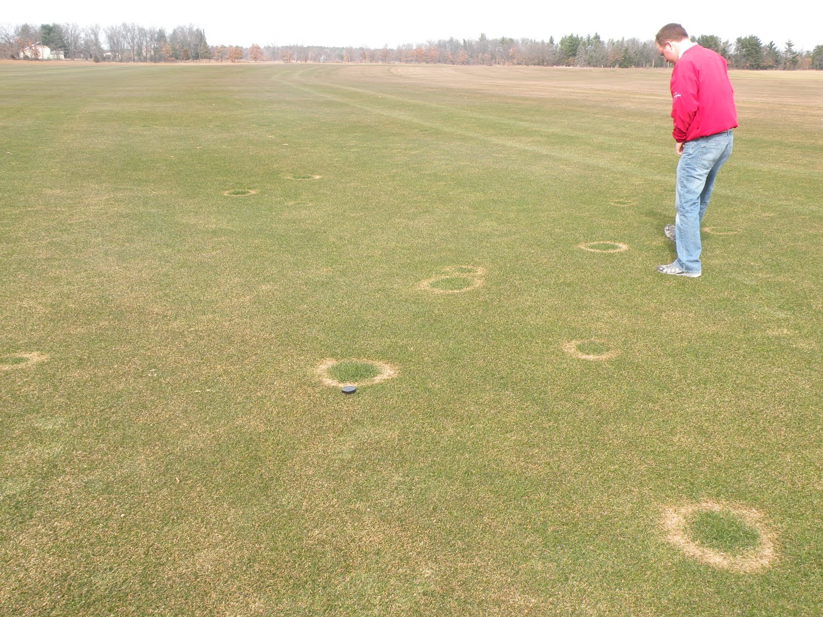 Turfgrass disease updates for golf courses: Final Thoughts on Snow Mold ...