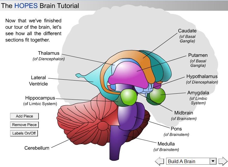 3D TODAY: Partial Recall