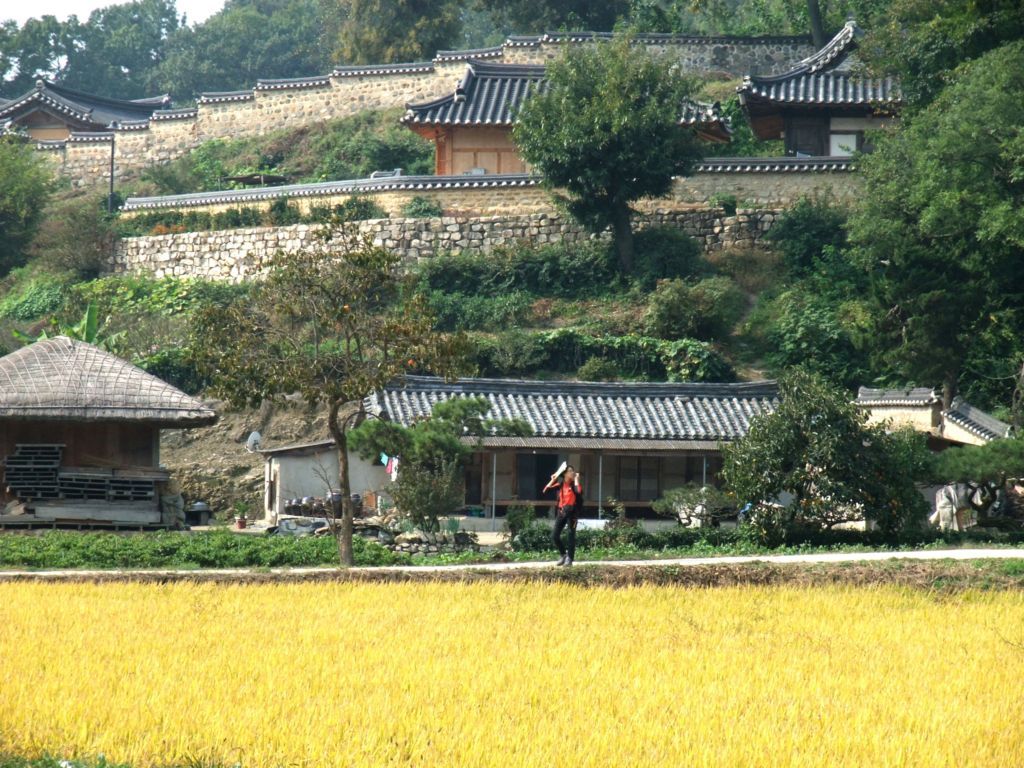 ANICCASIGHT: Yangdong Folk Village - Gyeongju, S.Korea