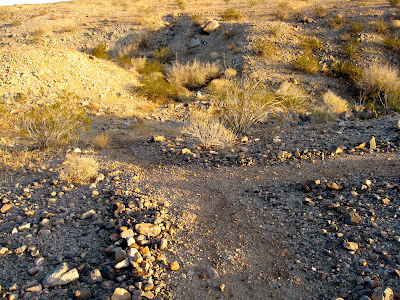 Hike Every Day: Pushawalla Palms Ridge Loop Trail