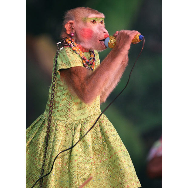 Monkey Theatre Show in Bangkok Thailand | Amazing Pictures