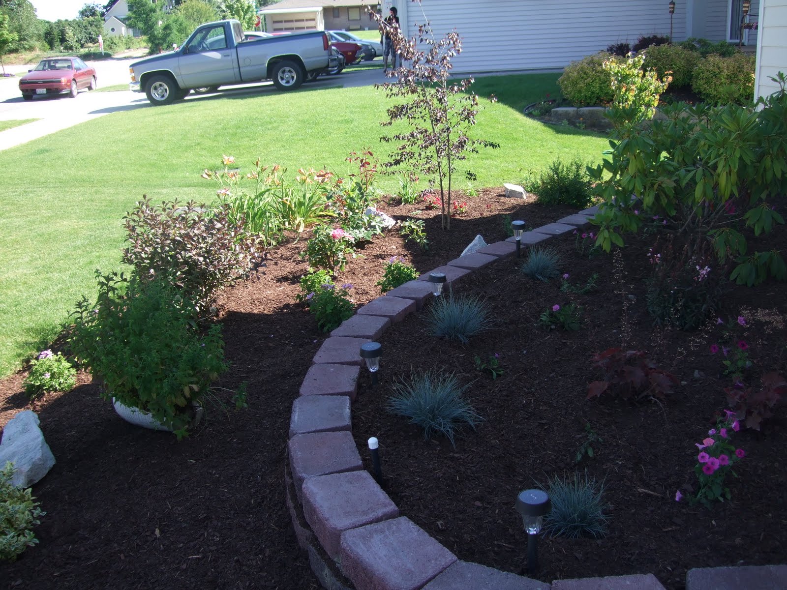 THE FOLKS AT HOME: Front Yard Landscaping