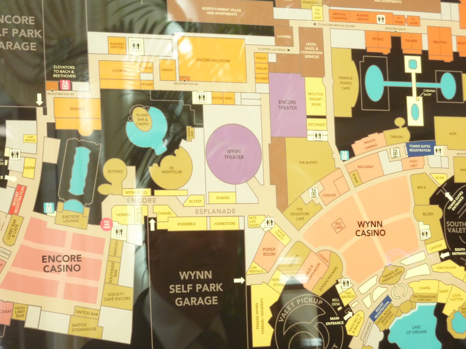 Viva Las Vegas !!!!: ENCORE & WYNN