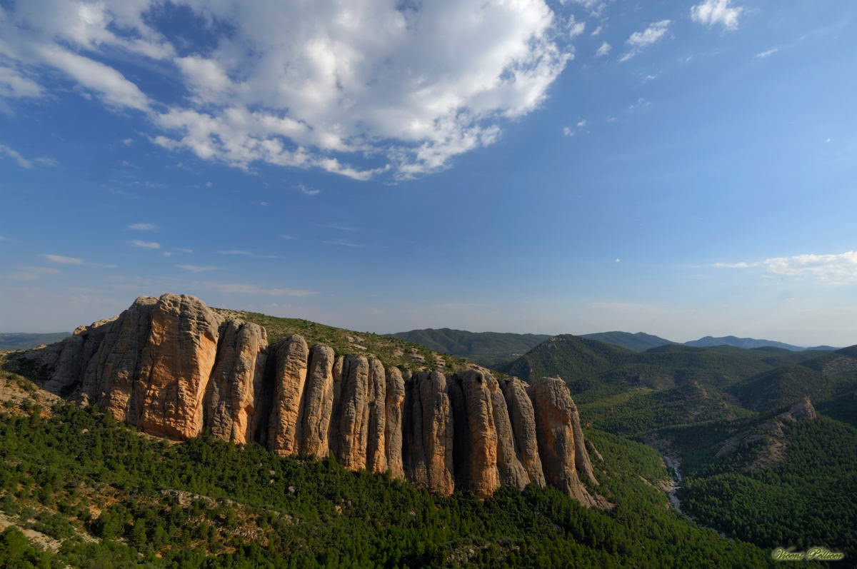L'aprenent de natura: Per terres de Penya-roja de Tastavins