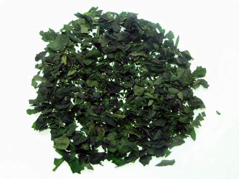 Japanese Tea Story : Tencha