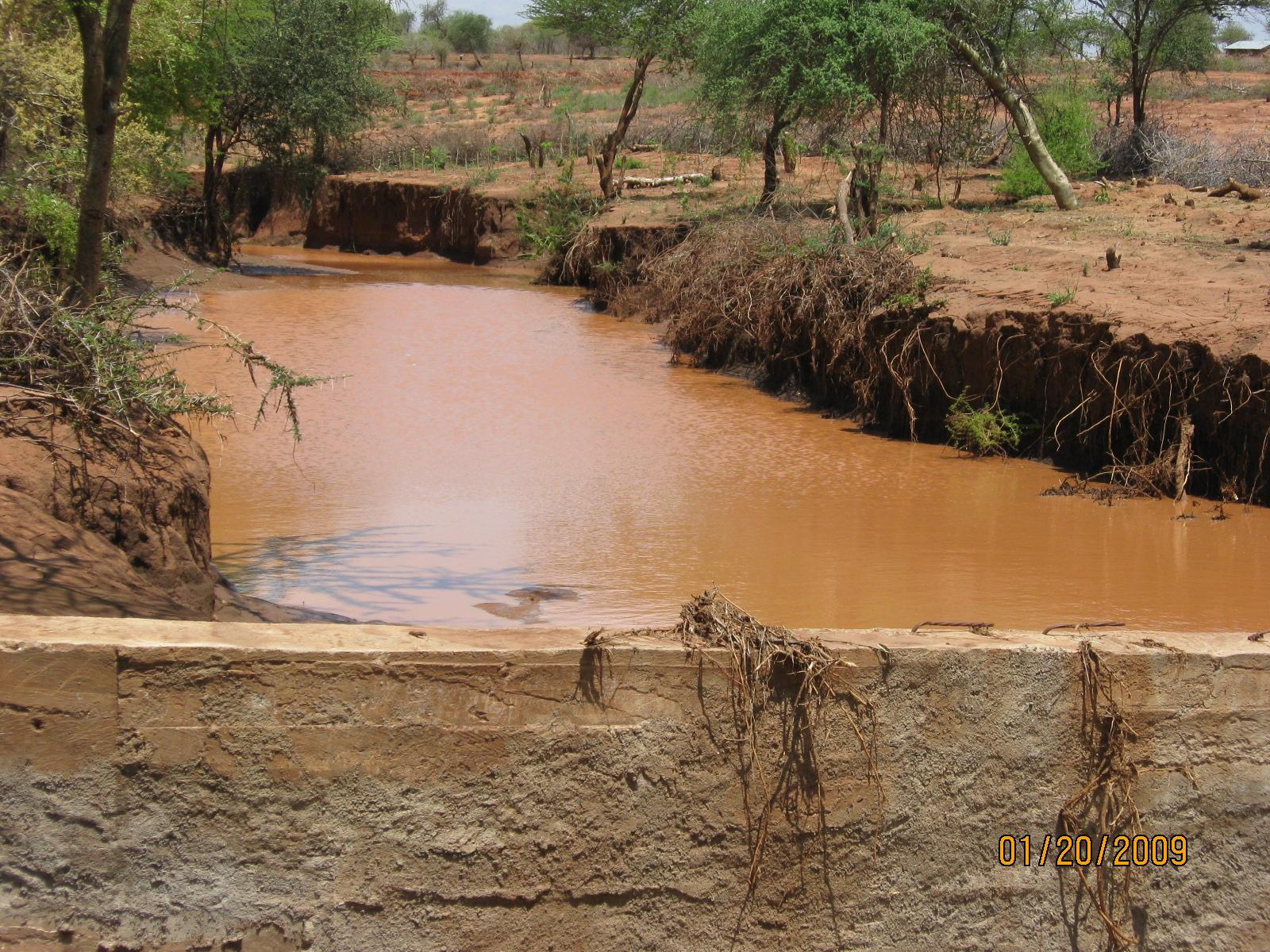 Living Water in a Barren Land: Water of Life in the Savannah