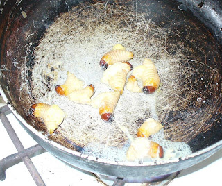 °Brava ragazza°: EL SURI EN IQUITOS