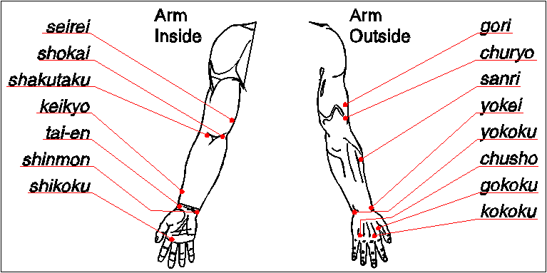 Shorinji Kempo: SHORINJI KEMPO TECHNICAL PAGES PRESSURE POINT DIAGRAMS
