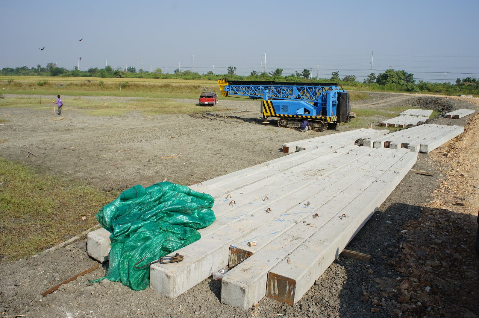 Swiftlet Farms of Thailand: A building boom in swiftlet houses