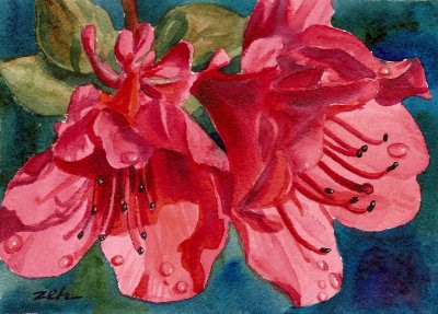 Zeh Original Art Blog Watercolor and Oil Paintings: Rose Red Azalea ...