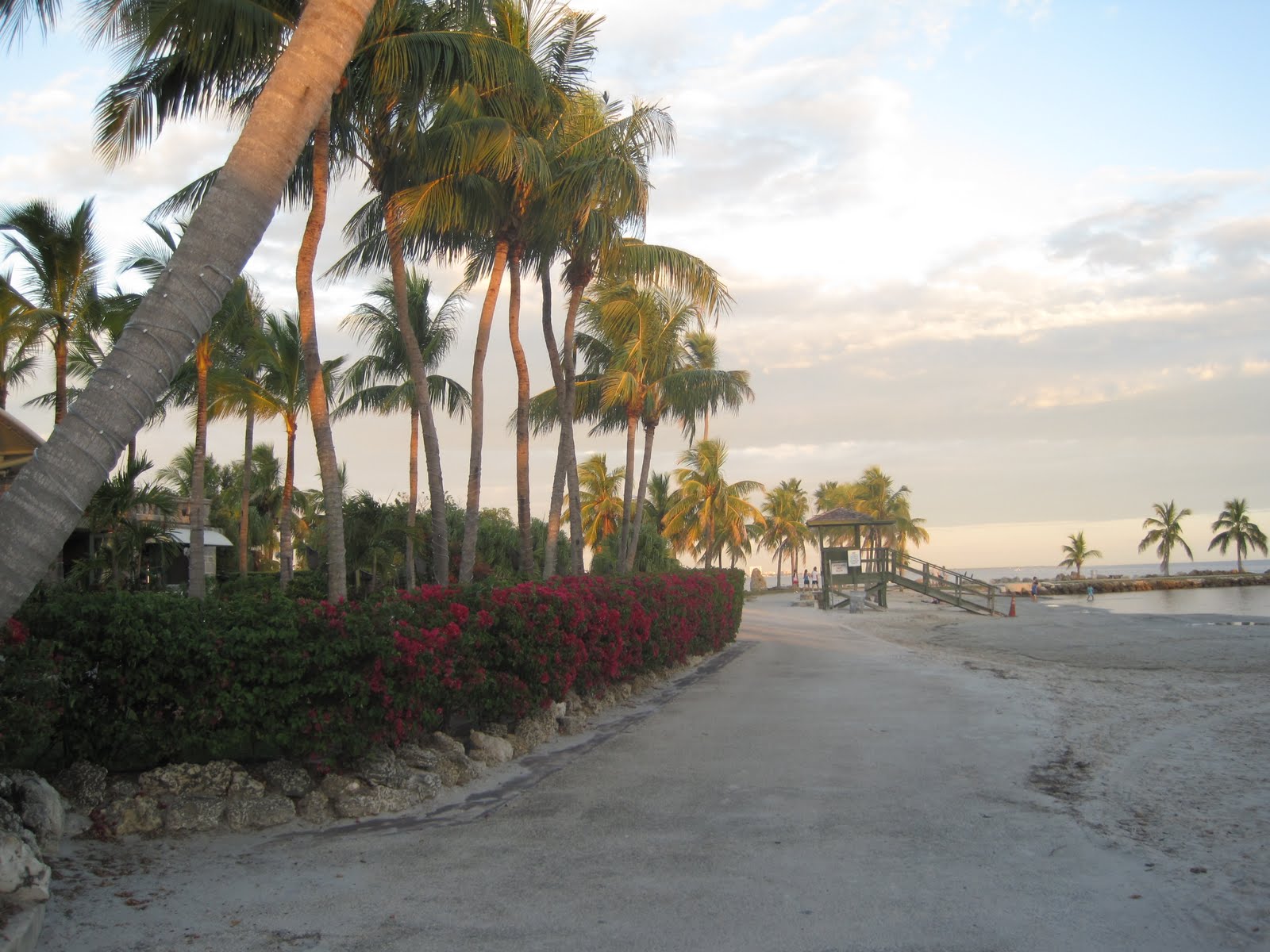 JetSet Coco: Red Fish Grill Miami