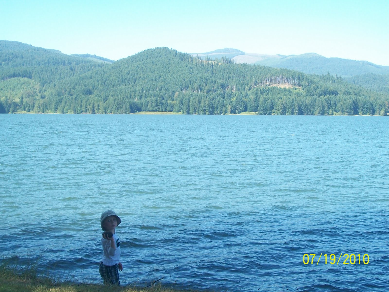 Baker Bay Dorena Lake Oregon at Rebecca Guay blog