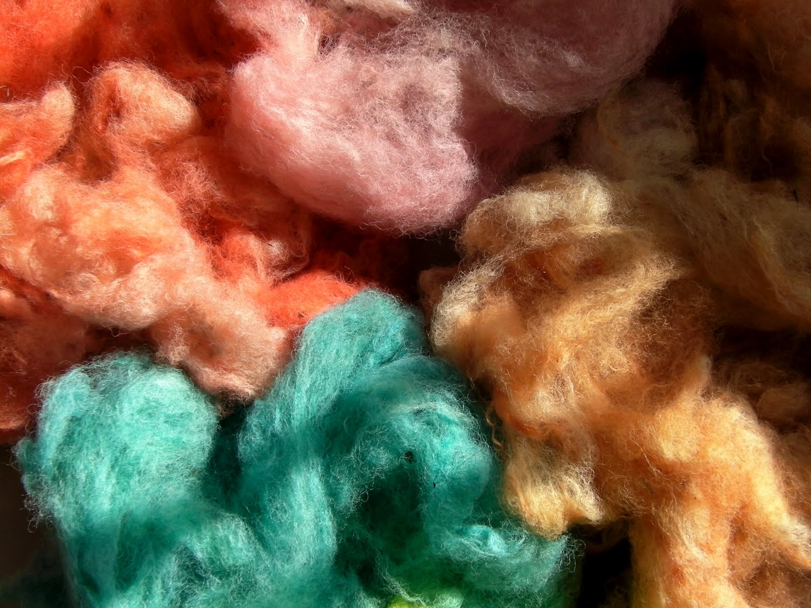 the star box: Wonderful Wool! Dyeing to Spin!