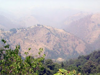 हमारा उत्तरांचल (देवभूमि) : almoda pic