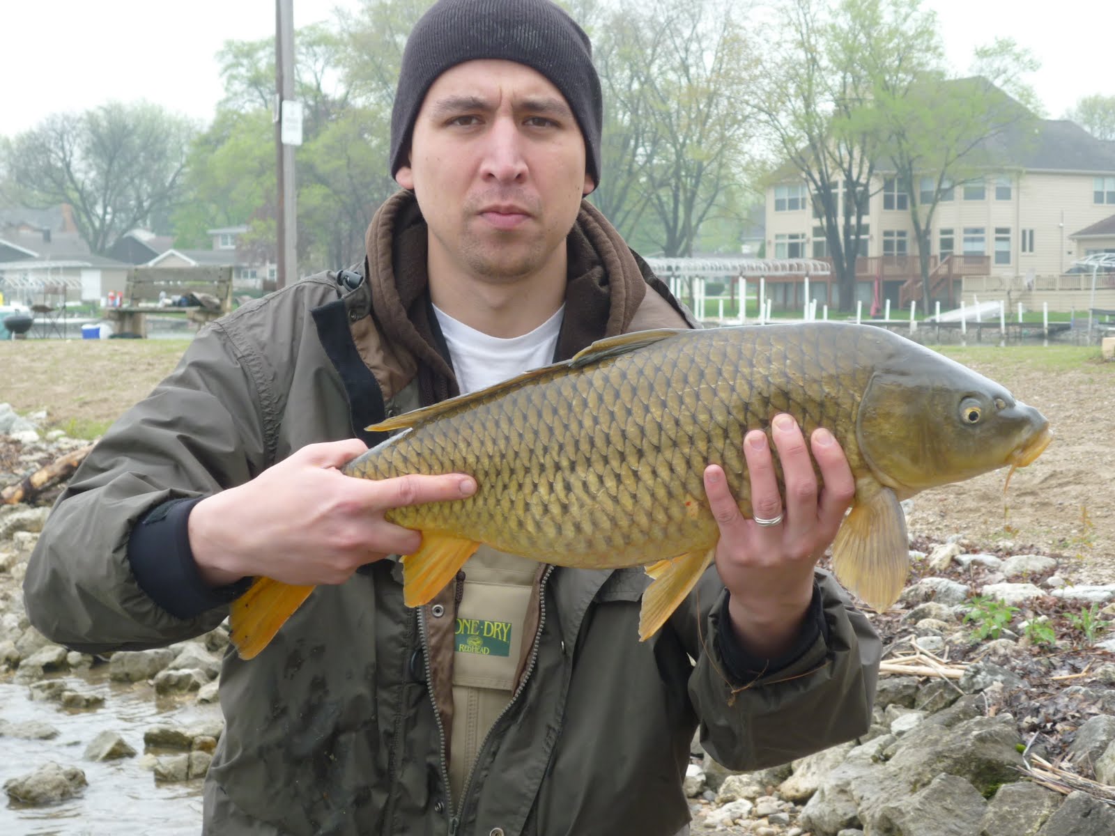 Illinois Wisconsin Fishing: carp fishing (fox chain of lakes, il)