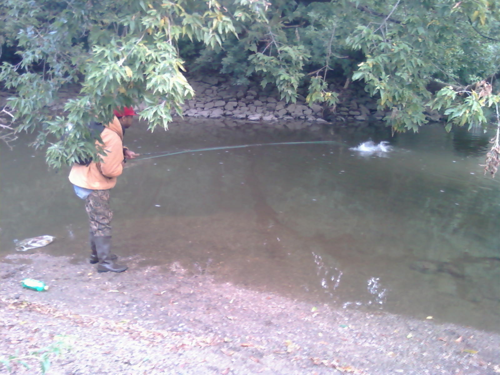 Illinois Wisconsin Fishing: salmon fishing (racine county, wi)