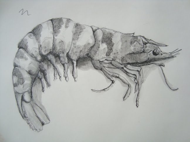 Melanie Keane: Tiger Prawns, Anyone?