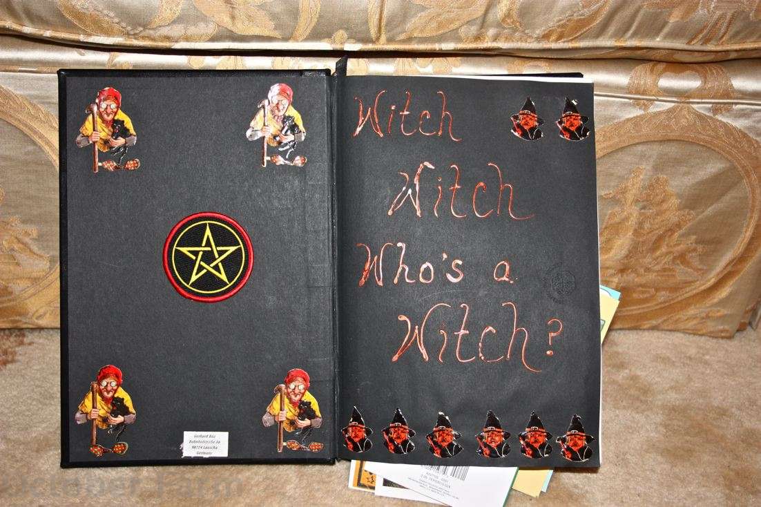 The Original Practical Magic Spellbook
