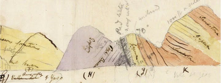 Off The Wall: From Charles Darwin's Notebooks