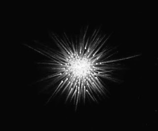 dDefective Designs: 5-13-10 Ink Smear Number 2