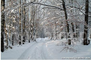 As incríveis experiências químicas: Gelo doce e gelo salgado