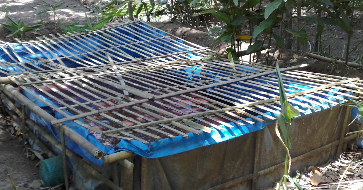 Ide Penting Design Kolam Terpal