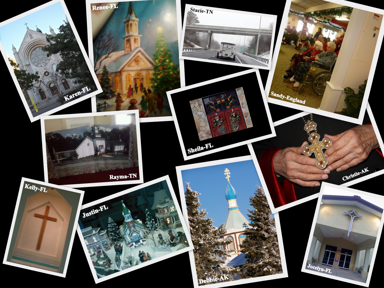 Its a Wild Life: December 2010