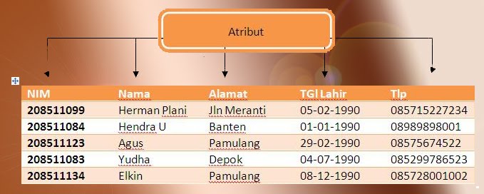 a Dreamer: Sistem Basis Data Istilah Istilah Dalam Tabel Relasional