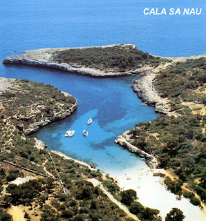 JARDIN POETICO: Hoy hablare de CALAS.