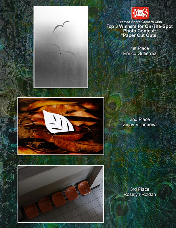 Framed Shots Camera Club: Framed Shots Camera Club Top 3 Winners for On ...