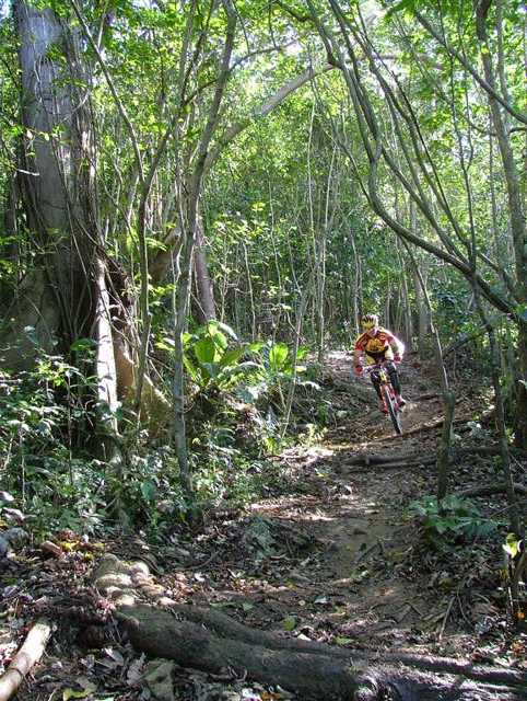 PUERTO RICO MOUNTAIN BIKE TOURS