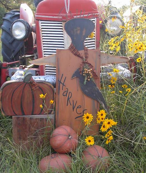 A Primitive Homestead Journey