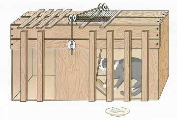 EDU 3103 Murid & Alam Belajar: Edward Lee Thorndike