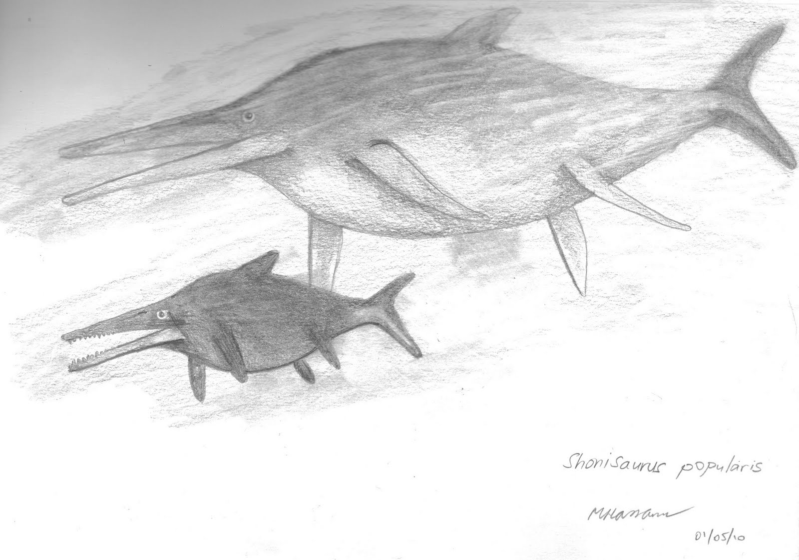 ART Evolved: Life's Time Capsule: The Ichthyosaur Gallery