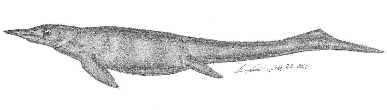 ART Evolved: Life's Time Capsule: The Ichthyosaur Gallery