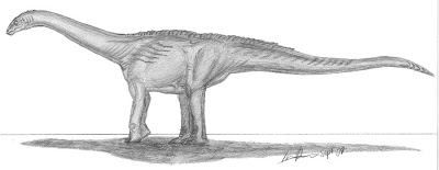 ART Evolved: Life's Time Capsule: The Sauropod Gallery