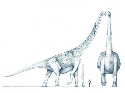 ART Evolved: Life's Time Capsule: The Sauropod Gallery