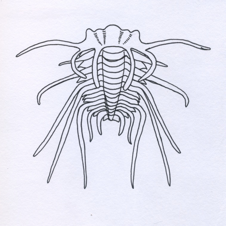 ART Evolved: Life's Time Capsule: The Trilobite Gallery