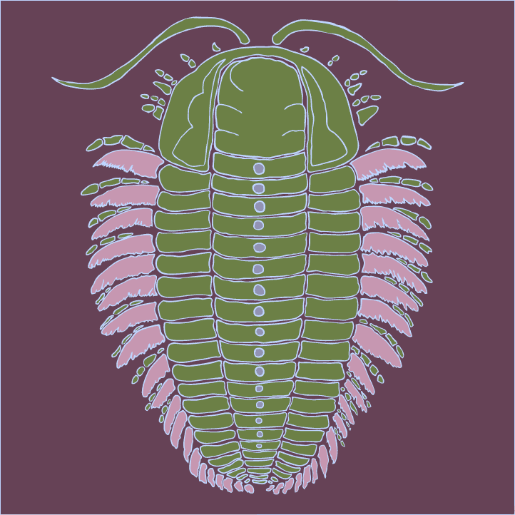 ART Evolved: Life's Time Capsule: The Trilobite Gallery