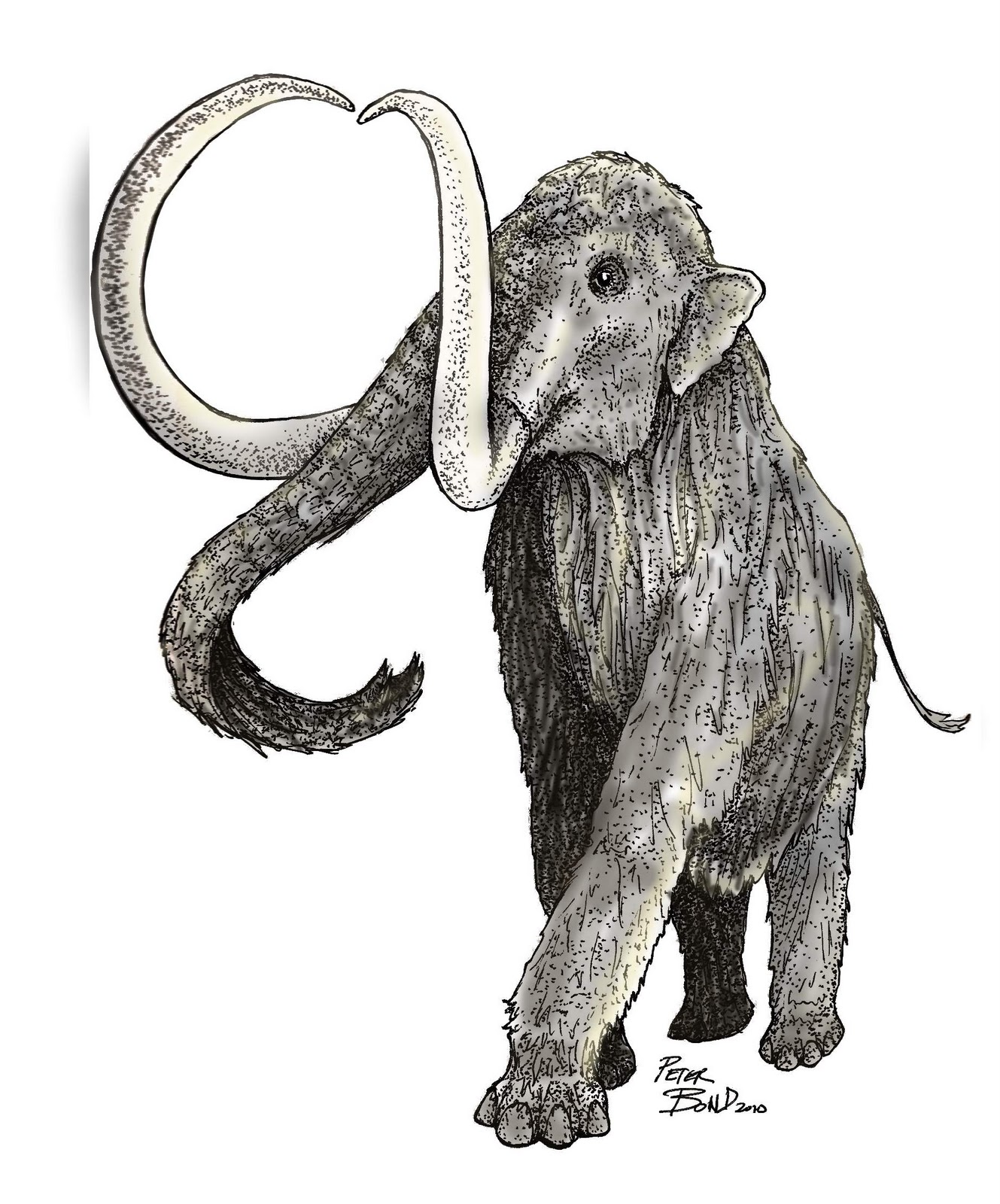 Bond's Blog: Liveblogging Dec 2010 (Mammoth-Style!)