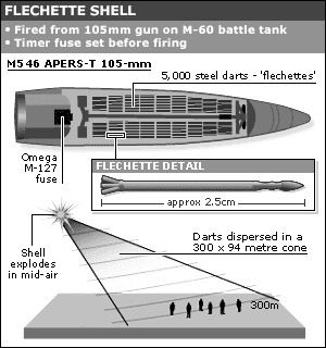 Project Mindwake: Flashback : Gaza children shelled by flechette rounds ...