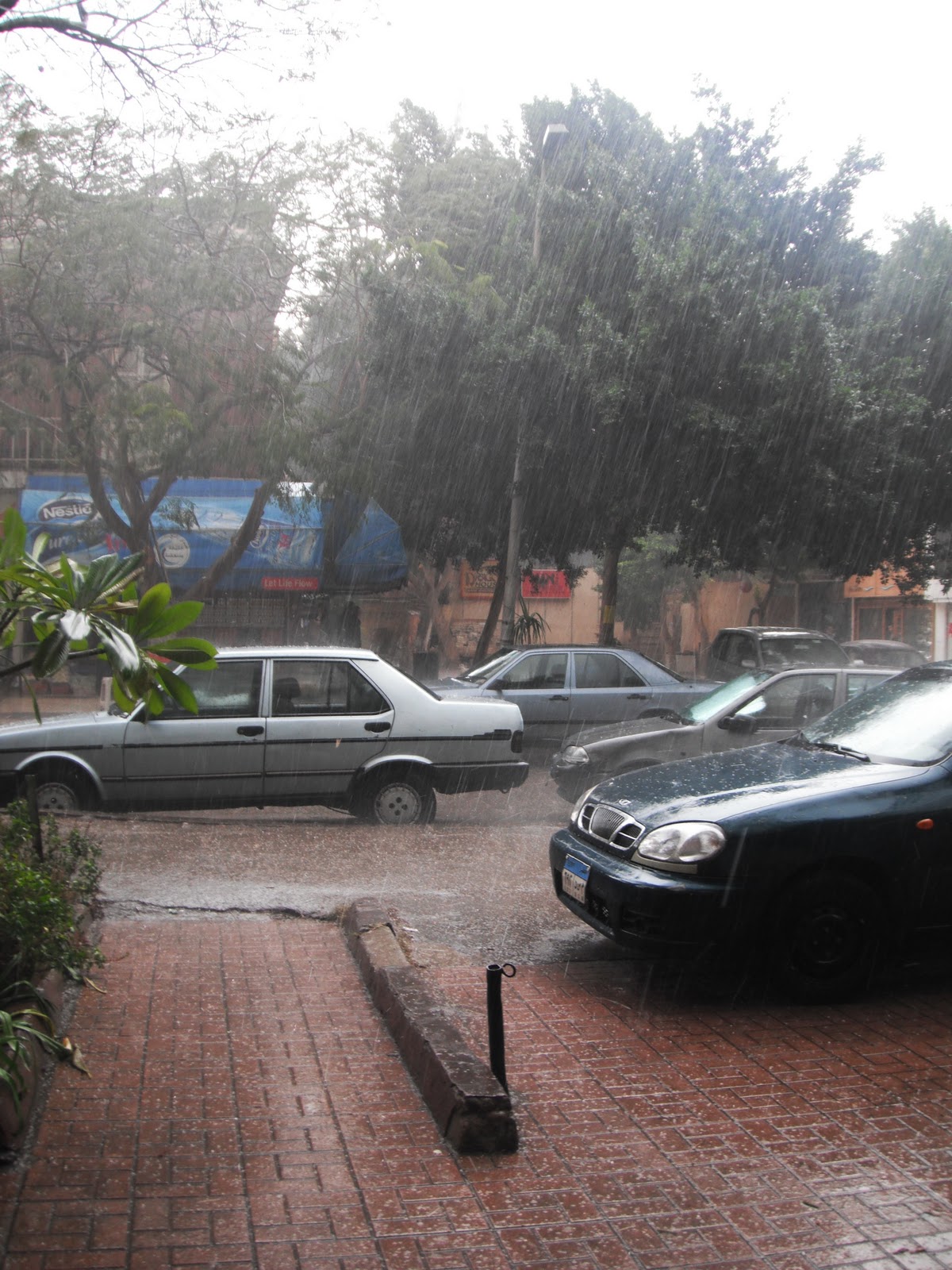 Carol, Jeff, and Cameron in Cairo: Rain, hail and flooding in Cairo