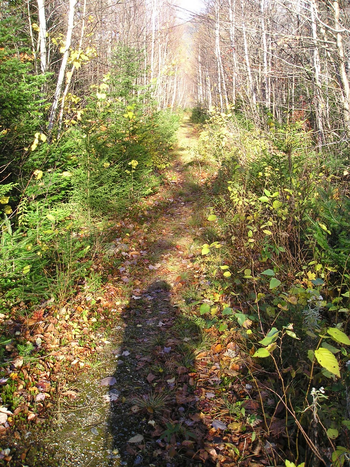 The Wild Side: Mahoosuc Notch Loop