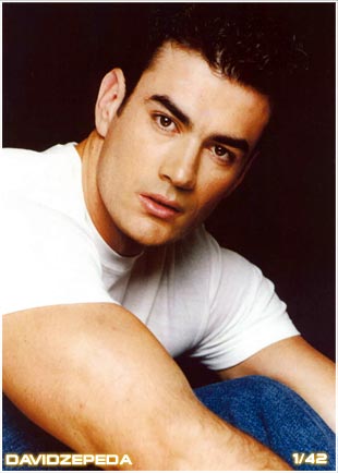 David Zepeda: 'Busco personajes claves' - Telenovelas