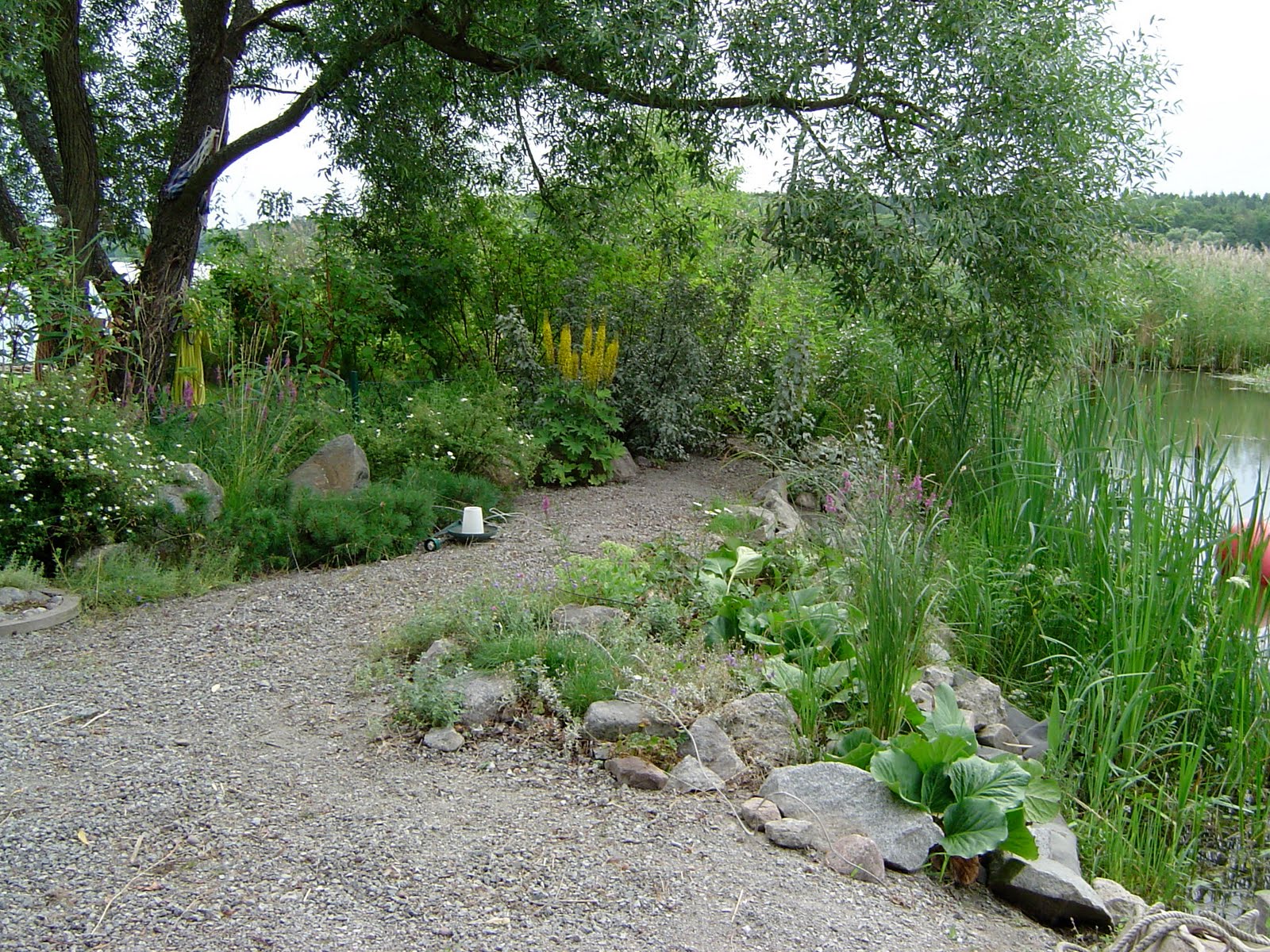 Mycket annat & lite betong: Plantering