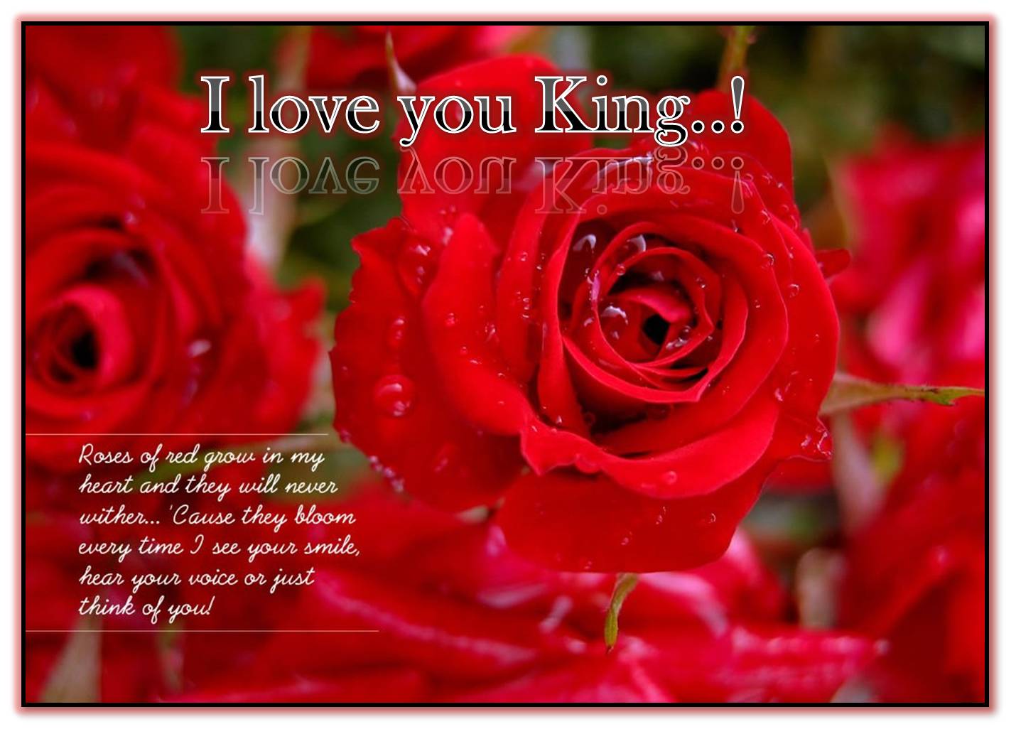 My Love Paradise !!: A rose for a Rose.!